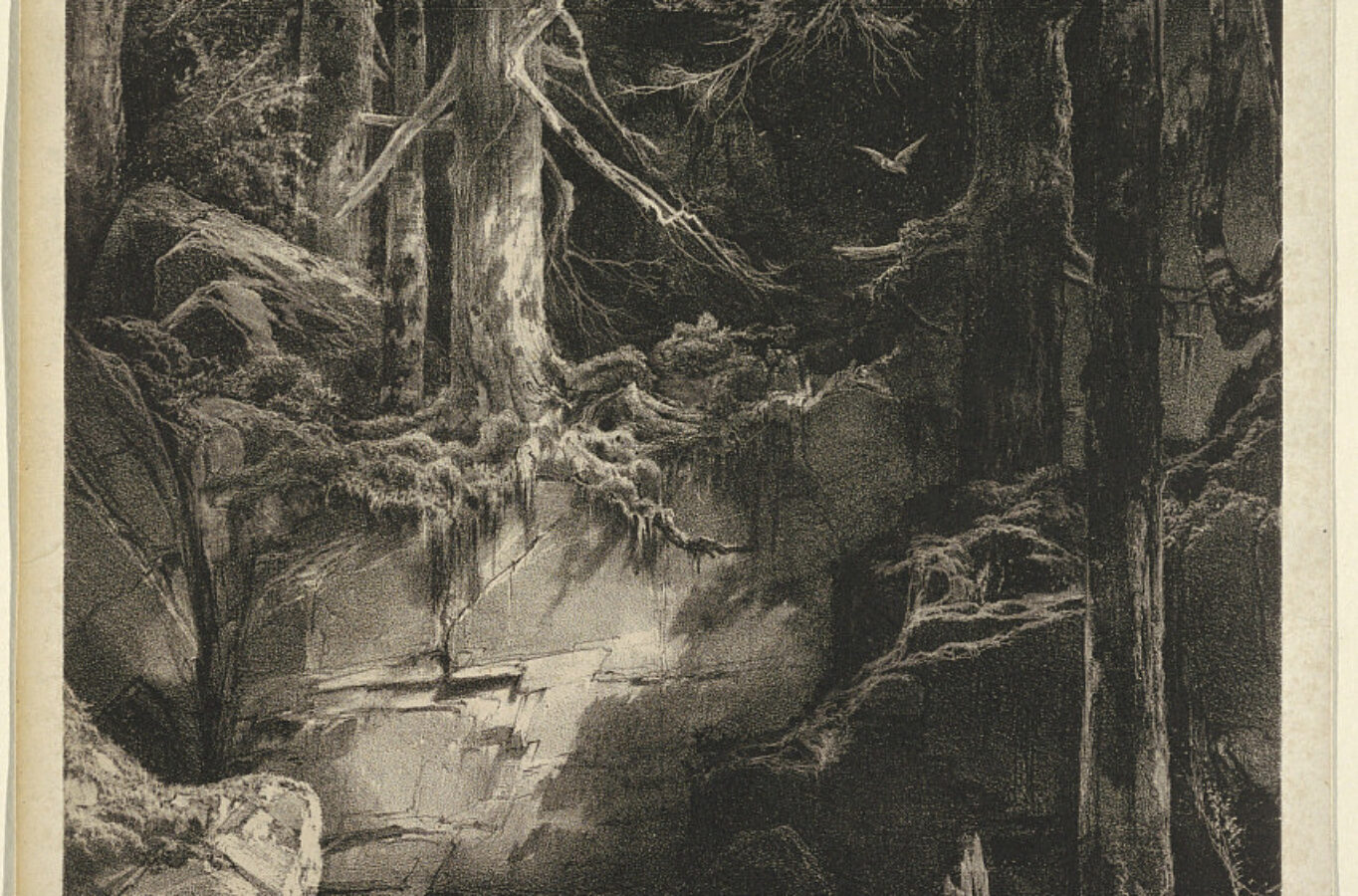 Issue 3: Summer 2021 Archives - Air/Light